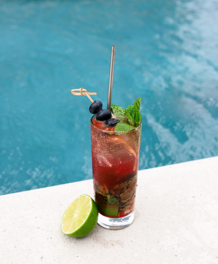 Blueberry Hibiscus Mojito - Milk Punch Media